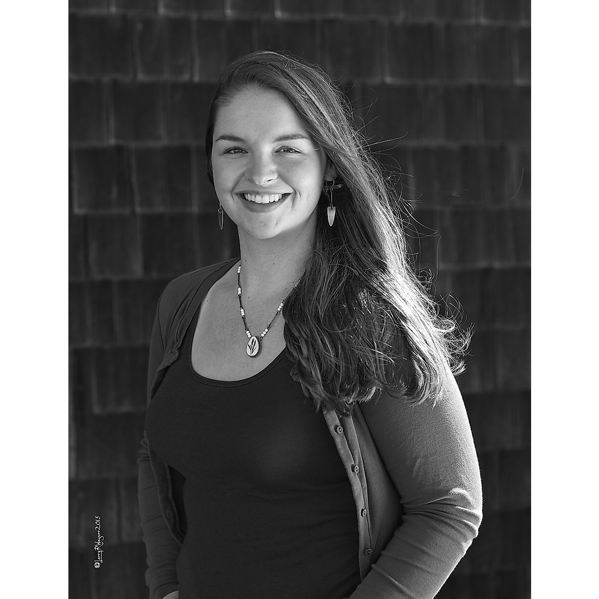 Mendocino Coast Artists