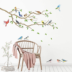 DECOWALL DWL-2015 Garden Birds Wall Stickers Wall Decals Peel and Stick Removable Wall Stickers for Kids Nursery Bedroom Living Room