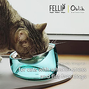 Felli Pet Oblik Whisker Fatigue Friendly Raised Cat Food Bowl Stainless Steel, Anti Vomiting Tilted Shallow Dish Easy Clean, Slanted Flat Metal Feeder Elevated Angled Spill Proof (0.5Cups, Classic)