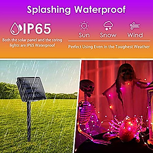Purple and Orange Halloween Lights Solar String Lights Outdoor, 2 Pack 80FT 200LED Solar Twinkle Lights Outside Waterproof, Copper Wire 8 Modes Solar Halloween Lights for Halloween Decoration Outdoor