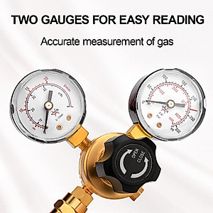 Argon CO2 Regulator Gauge Welding Gas Regulator with 6.6Ft Gas Hose, CGA580 Inlet Connection, 0-4500PSI/0-10BAR Input Pressure