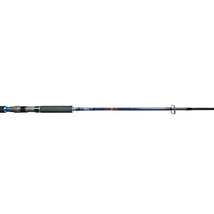 Jigging world Black Widow 300S Spinning 2-Piece Popping Rod