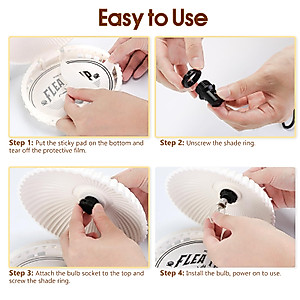 Flea Traps for Inside Your Home, 2 Pack Flea Trap Light with 4 Sticky Discs & 6 Bulbs, Shell Shape Electric Flea Killer Bed Bug Trap, Natural Indoor Pest Control Trap for Home, Safe to Pet & Child