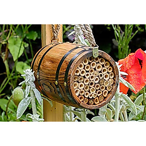 Wildlife World Mason Bee Barrel - Natural Hanging Habitat for Pollinators, Increases Productivity in Your Garden (Brown)