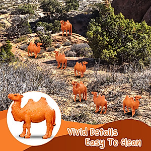 24 Pcs Camel Figurines Hand Painted Miniature Animal Statue Desert Camel Figures Animal Figurines Toys Camel Models for Table Desktop Cake Toppers Collection Home Ornaments Decor