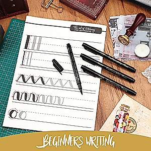 Chinco 9 Pieces Calligraphy Set for Beginners learn Caligraphy Kits, Including 8 Pieces Calligraphy Brush Pens Hand Lettering Pens and Lettering Workbook Calligraphy Book for Teen Kid Adult