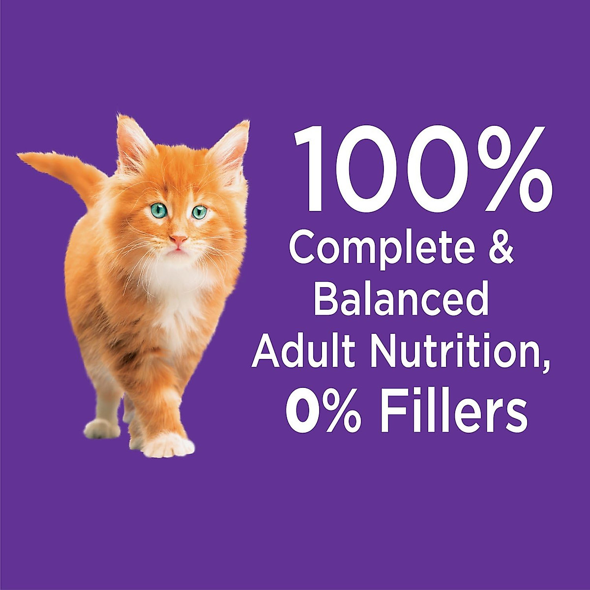 P L-RA IMS Proactive Health Healthy Kitten Dry Cat Food with Chicken, Omega-3 DHA, 100% Complete and Balanced Nutrition, 7 lb. Bag