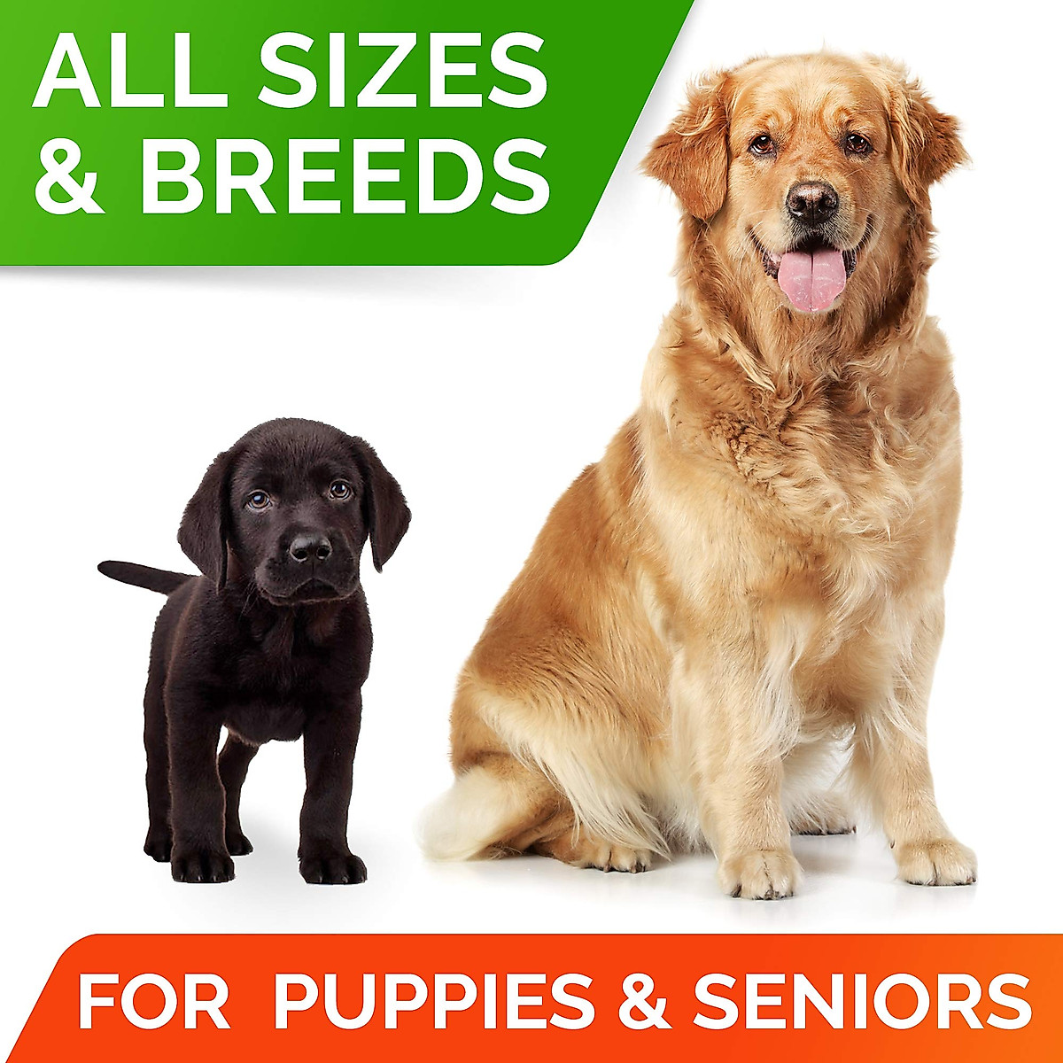 STRELLALAB Dog Probiotics Treats for Picky Eaters - Digestive Enzymes + Prebiotics - Chewable Supplement - Allergy, Diarrhea, Gas, Constipation, Upset Stomach Relief - Improve Digestion, Immunity