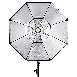 Godox Octagon Softbox 37 inch/95cm Photography Light Diffuser and Modifier with Bowens Speedring Mount for Monolight Photo Studio Strobe Lighting