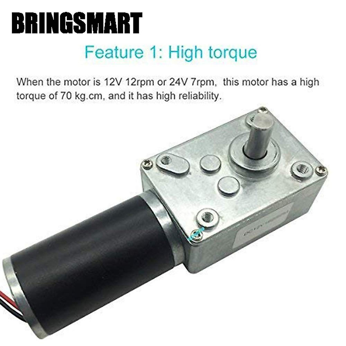 BRINGSMART 12V 12rpm DC Worm Gear Motor 70kg.cm High Torque Self-Locking Reversed Mini Turbine Geared Motor for DIY Robot Rotating Table Door Lock Curtain Machine (12V 12rpm)