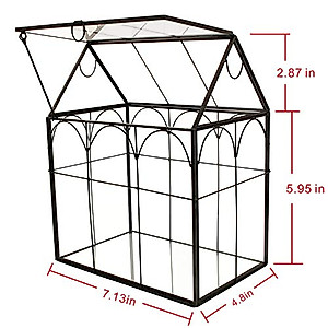 ELEGANTLIFE Glass Geometric Plant Terrarium,Succulent & Air Planter for Home Garden Office Decoration (Black House)