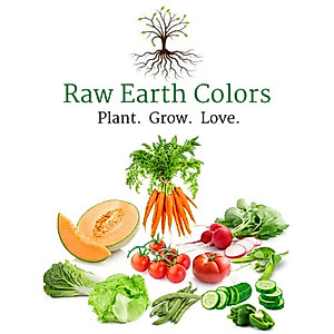 Seeds for Planting Vegetables and Fruits Outdoors in a Home Garden - Variety Pack of Twelve Kinds of Seeds!