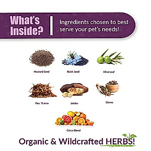 AMBER NATURALZ - REPTAID - Immune Support - for Reptiles Under 250g - 1 Ounce