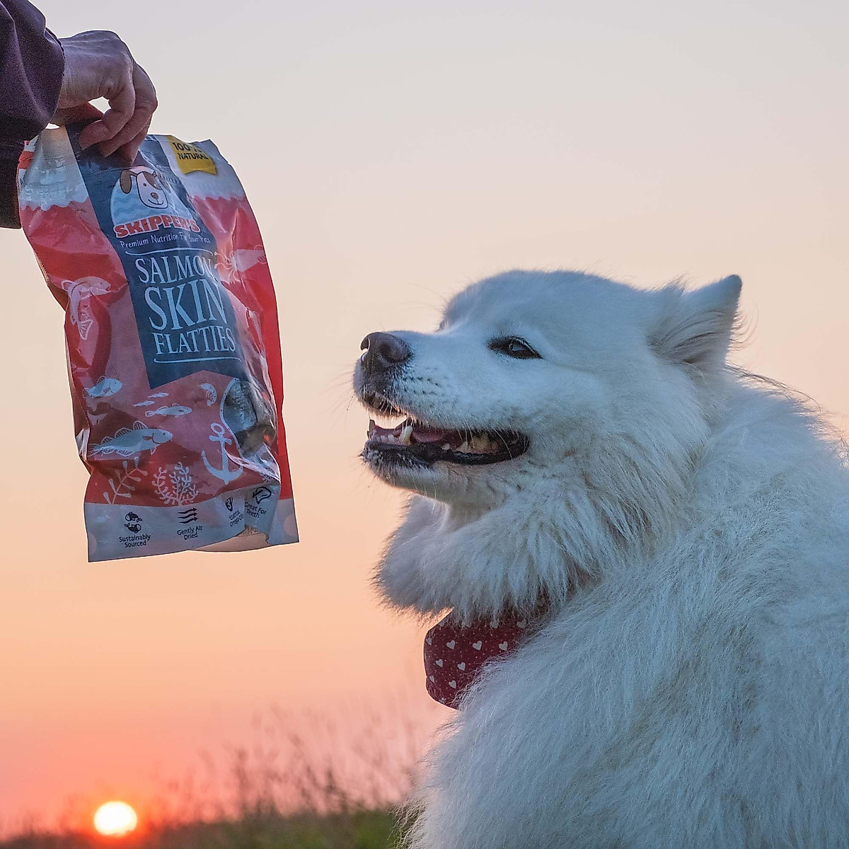 SKIPPER'S Salmon Fish Skin Flatties - Dental Chews for Dogs, Long Lasting Natural Dog Treats, Healthy Pet Supplies Support Skin Coat & Joint Function | Salmon Fish Dried Flatties Dog Food (3.5Oz)