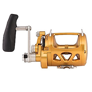 Penn International VIS 2 Speed Reel , Gold, 30