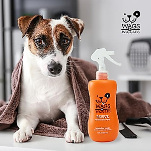 Wags & Wiggles Revive Waterless Bath Spray for Dogs | Waterless Dog Shampoo Dog Spray Dog Deodorizing Spray for Smelly Dogs in Tangerine Tango Scent, 12 oz