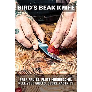 Dalstrong Paring Knife Set 3pc- Gladiator Series - Forged German High-Carbon Steel - G10 Handle - Sheaths Included - Kitchen Knife -Giftable Paring Knife Set - NSF Certified