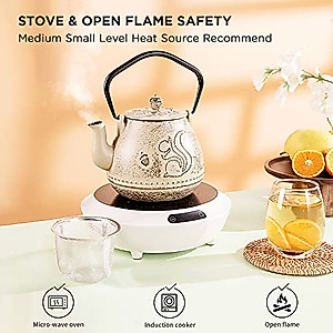 Japanese Cast Iron Tea Pot, Tetsubin Tea Kettle with Removable Loose Leaf Infuser, Japanese Teapots for Stove-Top Safe Hand Painted Squirrel Pattern Coated with Enameled Interior, 34 Oz (Dark Green)