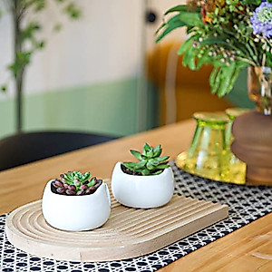 T4U Animal Succulent Pot 4 Inch Set of 6, Cat Shape Ceramic Planter with Drainage Hole, Cute Container for Small Cactus Bonsai Herb Plant, Indoor Home Office Garden Decoration Gift