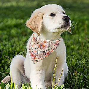 Small Dog Bandanas, DORUI 4 Pack Pet Bandanas, Premium Durable Fabric, Unique Design, Adjustable Scarf for Cat Puppy Small Dogs(Small)