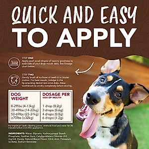 TropiClean Enticers Teeth Cleaning Gel & Toothbrush for Large Dogs | Hickory Smoked Bacon Flavor | Bamboo Brush Speeds Up Plaque Removal | Gel Helps Fight Bad Breath | 2 oz