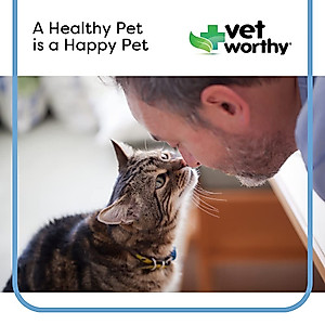Vet Worthy Hairball Soft Chew for Cats Hairball Remedy for Cats for Digestive Aid and Hairball - Cat Supplement with Omega 3, Psyllium Husk, Brewers Yeast, Wild Alaskan Salmon Oil-45 Soft Chews