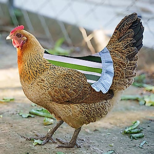 Ruio Pet Warm Fleece Kitten Sweater Chicken Saddle Hen Apron with Elastic Straps Hen Feather Fixer Wing Back Protector for Small Medium and Large Hens Pet Clothes for Small Dogs Male (B, One Size)