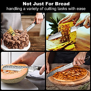 PALAKATE Bread Knife, 8 inch bread knife for homemade bread, Single Side serrated knife