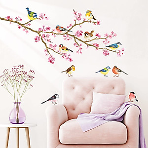 DECOWALL DS-8039 Cherry Blossom & Garden Birds Kids Wall Stickers Wall Decals Peel and Stick Removable Wall Stickers for Kids Nursery Bedroom Living Room (Small) d?cor