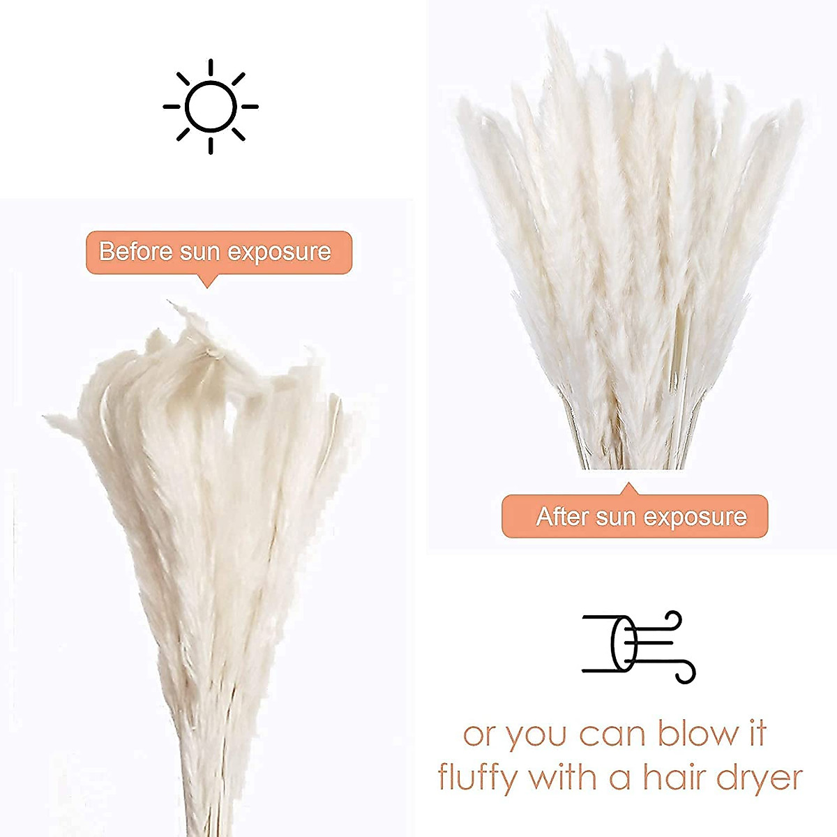 30 Pcs White Pampas Grass ,17 inch/45 cm Natural Dried Pampas Grass Branches Decor for Home Kitchen Garden Party Photographing Flower Arrangement Vase Decor（White