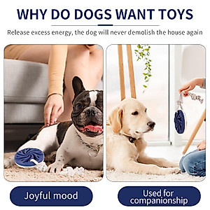 Generic Lollipop Dog Toys for Aggressive Chewer, Tough Dog Dental Chews Toy, Indestructible Dog Toys for Large Dogs, Chew Toys Food Grade, Puppy Teething Toys., Blue+White