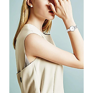 BINLUN Women'sWatch Band Stainless Steel Ceramic Replacement Watch Bracelet Polished Strap 12mm/14mm/16mm/18mm/20mm/22mm with Butterfly Buckle 6 Colors