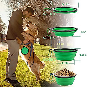 DPOEGTS Slow Feeder Dog Bowl, Puzzle Dog Food Bowl Anti-Gulping Interactive Dog Bowl and Water Dog Bowl for Small/Medium Sized Dogs (Green, Bone)