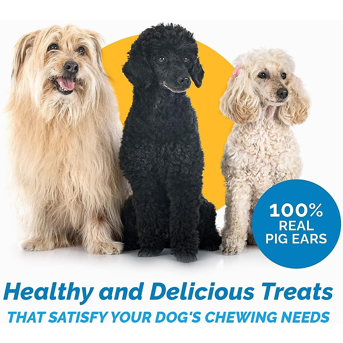 123 Treats Pig Ears for Dogs – 100% Natural Long Lasting Pork Dog Chews with Delicious Dog Chew Treat, Ideal for All Chewers, Healthy Large Pig Ears (One Pack of 30)