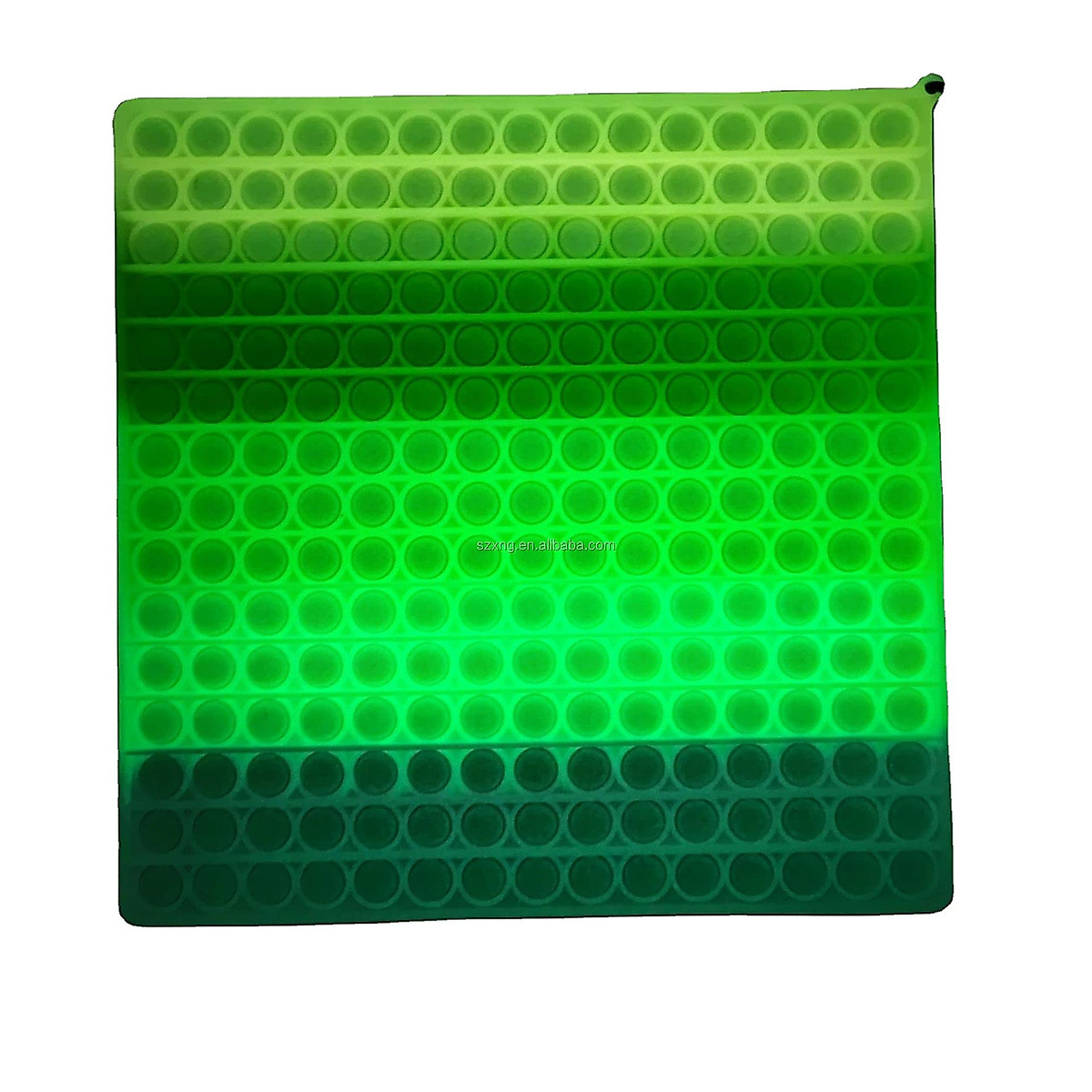 Pop It Glow in The Dark Bubble Pop Fidget Autism Sensory Toys 225 Bubble Popper Toy & Bubble Popper Keychain Stress Relief ADHD