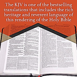 KJV Everyday Study Bible, Black LeatherTouch, Black Letter, Pure Cambridge Text, Study Notes and Comentary, Illustrations, Aricles, Charts, Easy-to-Carry, Easy-to-Read Bible MCM Type