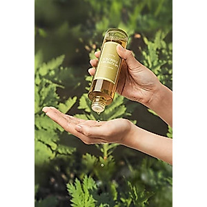 I'm from] Miniature set, rice toner, mugwort essence, honey mask, gifts for women, travel essentials, stocking stuffers