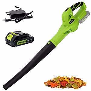 YOUGFIN Leaf Blower Cordless with Battery and Charger, 160CFM Battery Powered Electric Blowers for Lawn Care, 6 Speed Mode Small Rechargeable Leaf Blower Lightweight for Seniors (21V)