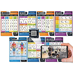 Gym Workout Posters - Set of 7 - Laminated - EXTRA LARGE 33" X 23.5" - Exercise Posters - Gym or Home Workout Charts - Includes Video Training Support