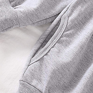 Ritatte Toddler Girls Clothes Winter Warm Long Sleeve Tops Long Pants Suit Kids Soft Cotton Fall Outfits 2Pcs Set(Gray,3-4T(110))