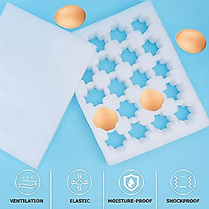 Mobestech Foam Egg Cartons 2pcs Proof Crate Storage Storing Dampening Holder for Pe Padding Container Containers Practical Fixing Fixator Egg No Sound Grids Foam Resistant Kitchen Cushion
