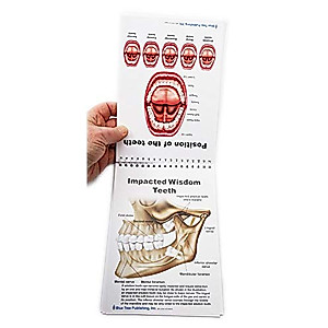 Dental Charts (Flip Chart, Stand up)