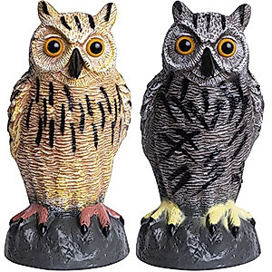 Galashield Owl Decoys to Scare Birds Away | Plastic Owls to Scare Birds Away | Owl Statue for Garden & Outdoors [Set of 2]
