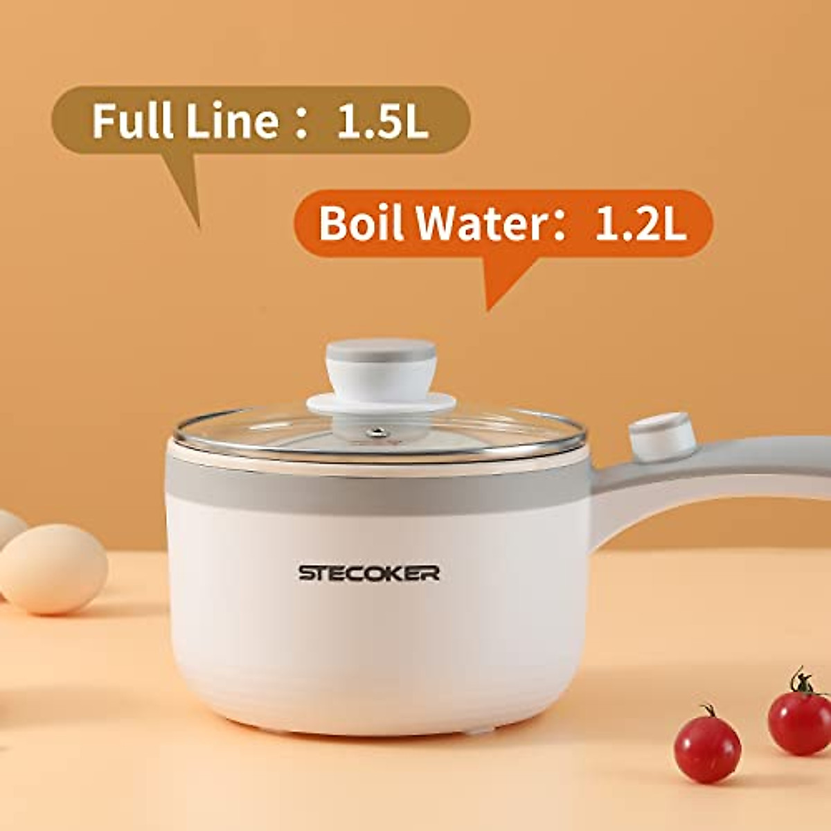 STECOKER Electric Hot Pot with Steamer (1.5LS), 1.5L Instant Pot, Ramen Cooker,110V 600W White