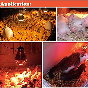 Fengrun Infrared Heat Lamp Bulb Red Light Therapy 250 Watt Dark Red Hard Explosion-Proof Glass for Chicken, Farm, Pets, Warming Bulbs Bathroom Winter(120V,250W)