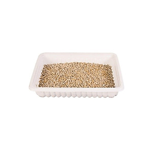 Trixie Cat Grass 100G (Including Tray)
