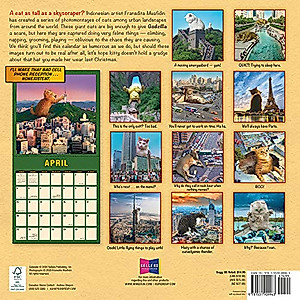 2021 Catzilla 16-Month Wall Calendar