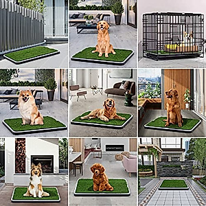 Dog Grass Pad with Tray, Artificial Grass Pee Pad, Reusable Training Potty Pad for Indoor and Outdoor Use