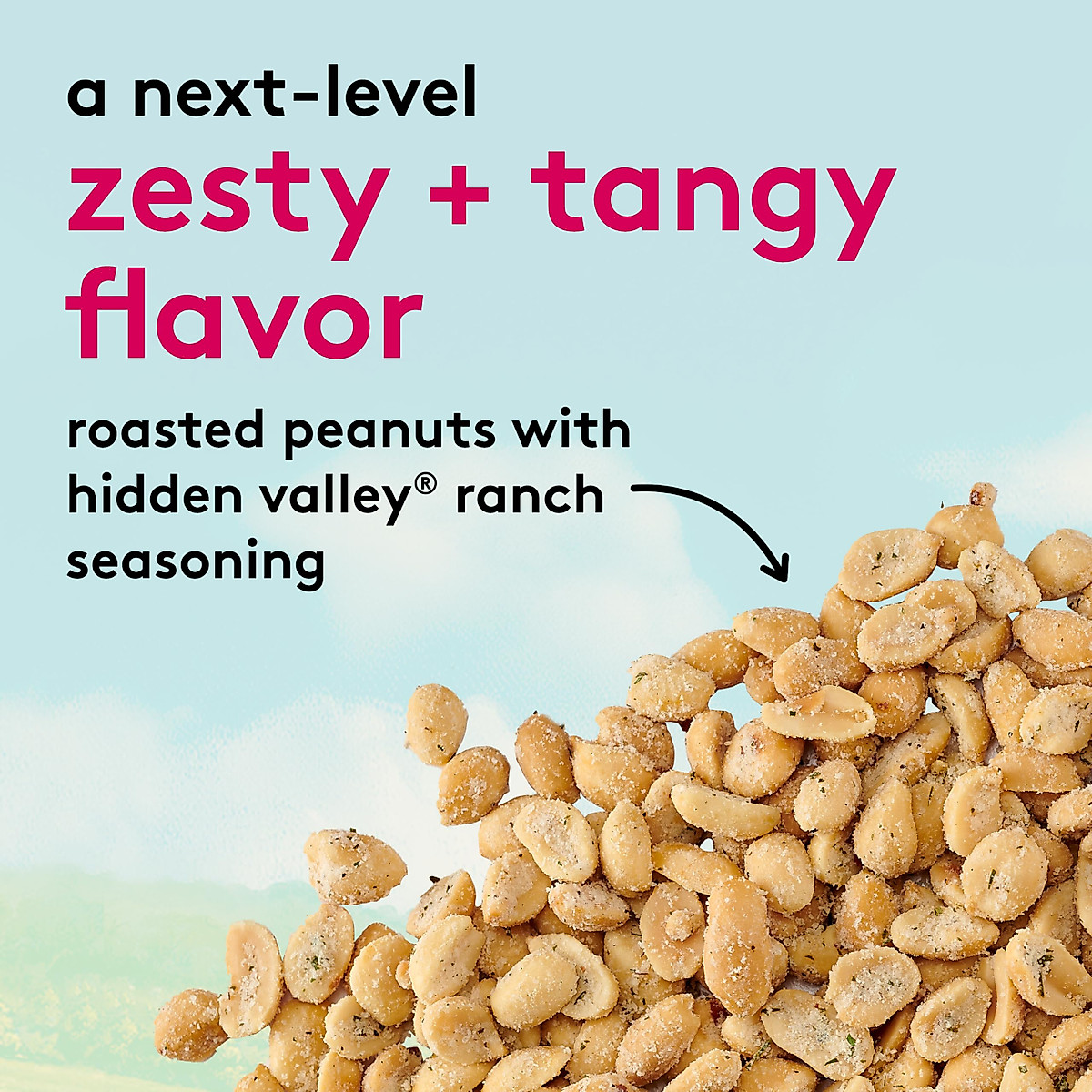 Snak Club Peanuts with Hidden Valley Ranch Seasoning, Roasted Nuts, Gluten-Free and Kosher Snack, 4.5 oz Resealable Bags, 6 Pack