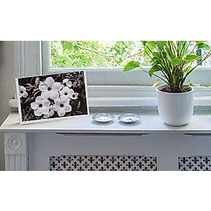 PPD 20 Inkjet Printable Greeting Cards A4 Pre-Scored to A5 260gsm Gloss Inc Envelopes PPD-51-ENV-20